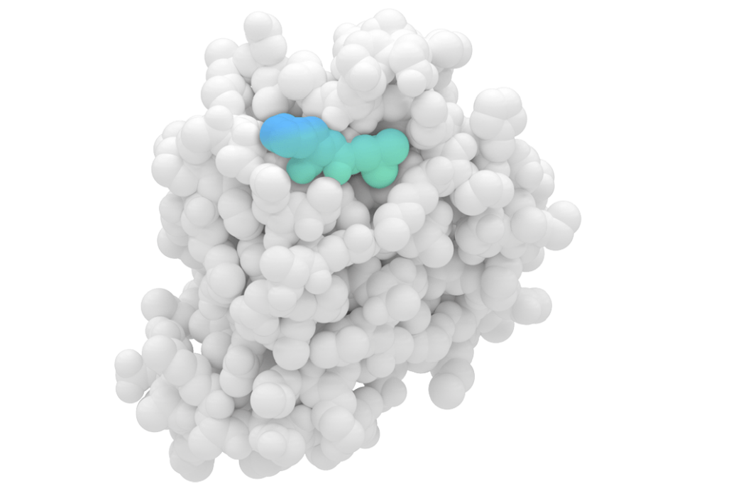 Allinky Biopharma - Innovative small molecule therapeutic drugs